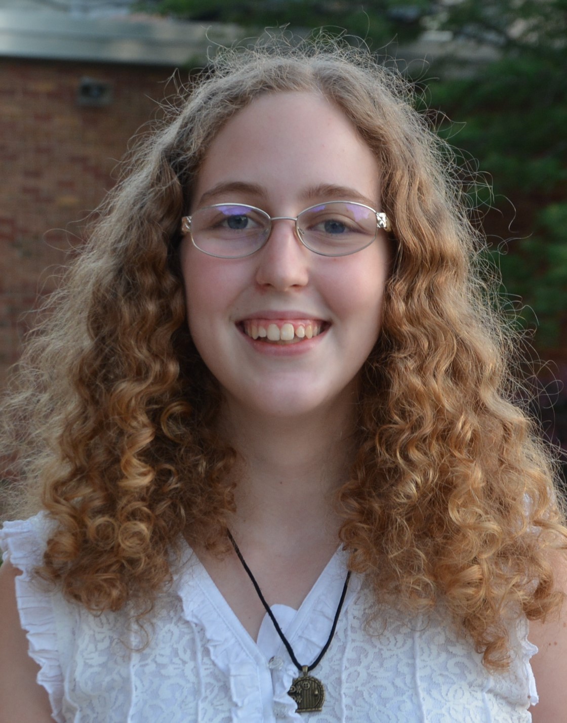 HCSD Board of Education